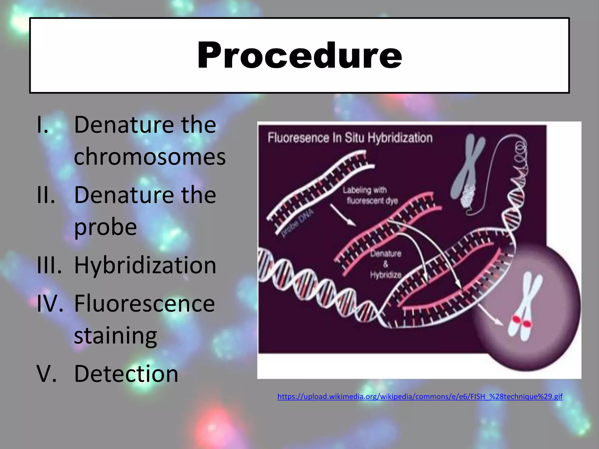 Fish fluorescence in situ hybridization | PPTX