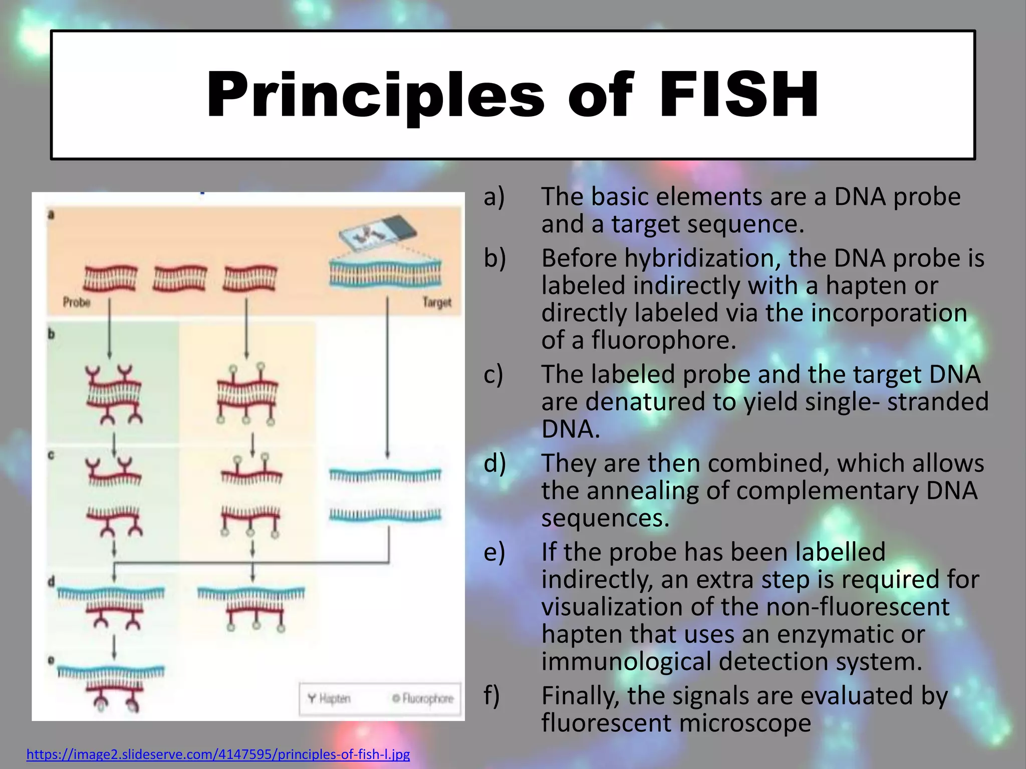 Fish fluorescence in situ hybridization | PPTX