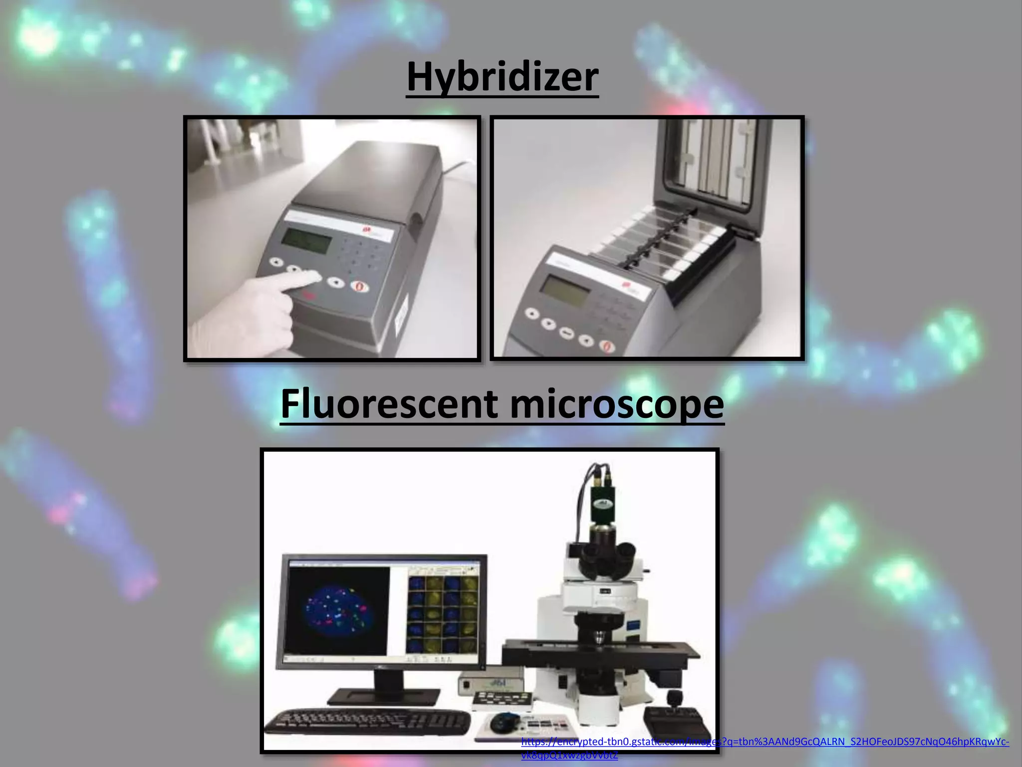Fish fluorescence in situ hybridization | PPTX