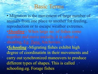 fish-migration.pptx