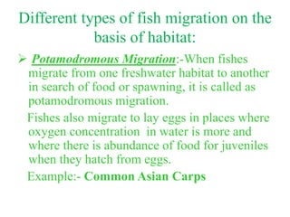 fish-migration.pptx