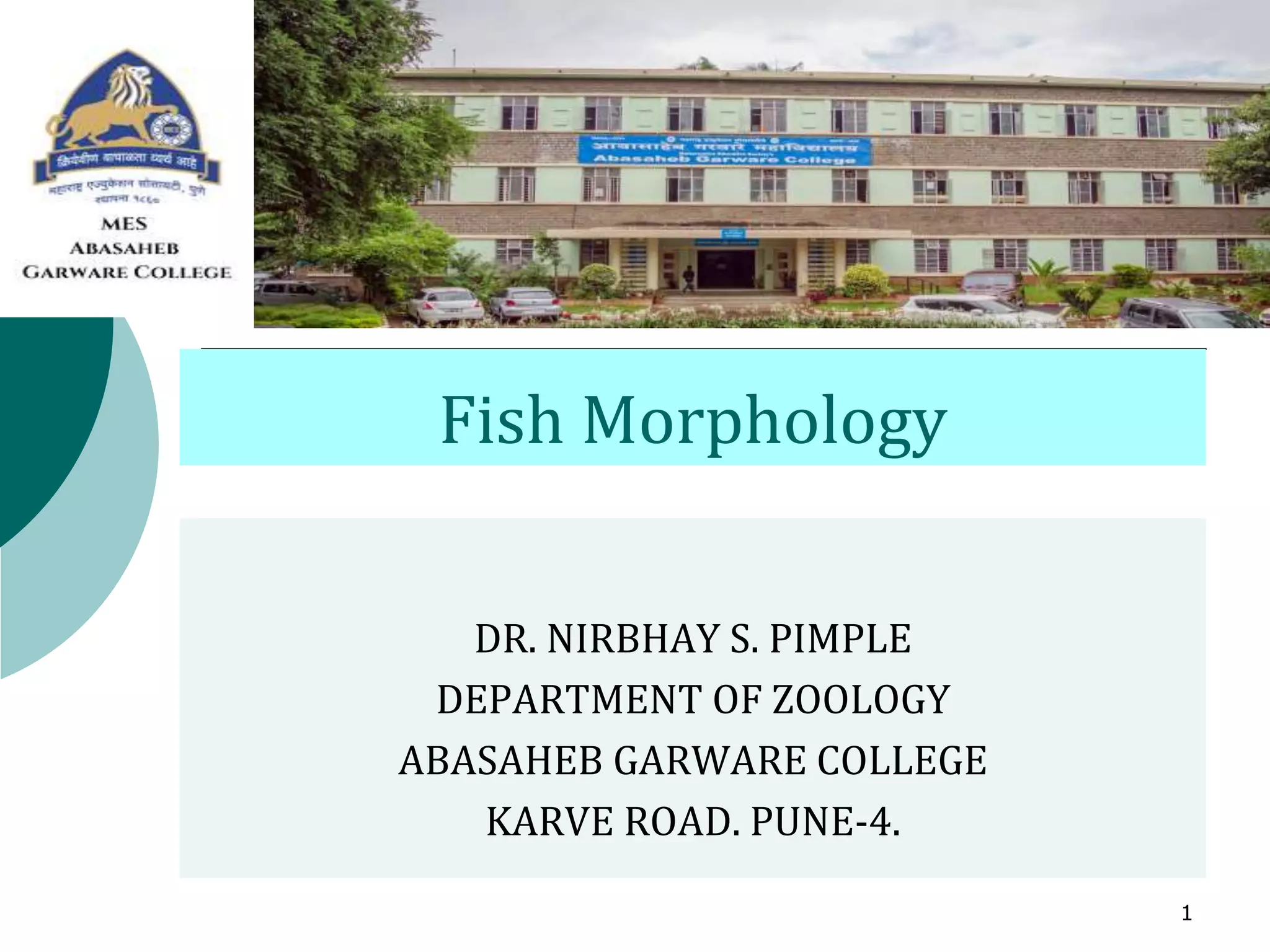 Fish morphology | PPTX