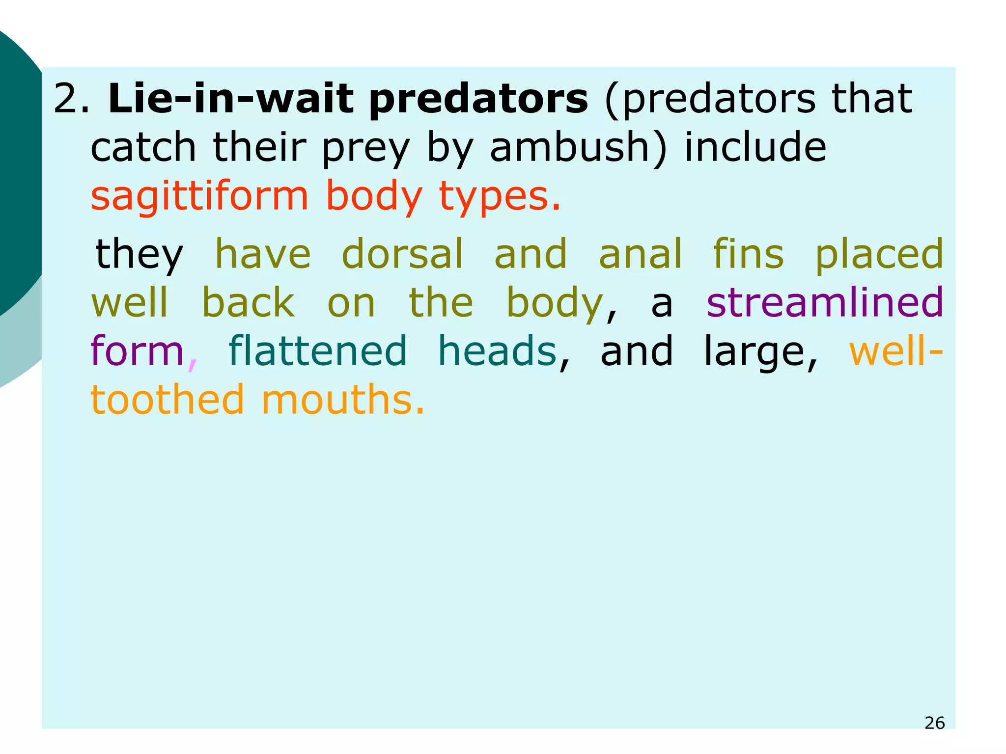 Fish morphology | PPTX