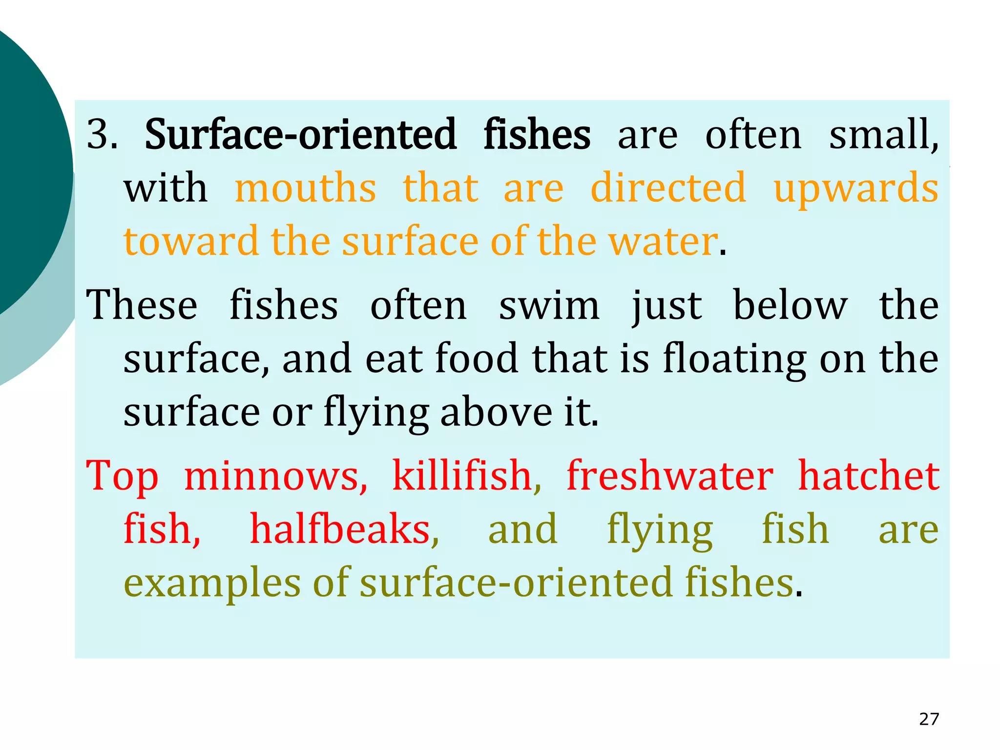 Fish morphology | PPTX