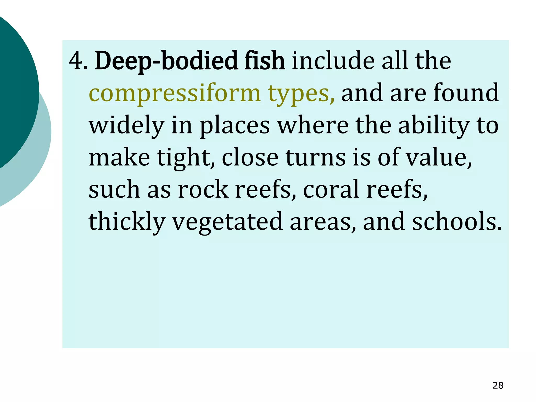Fish morphology | PPTX