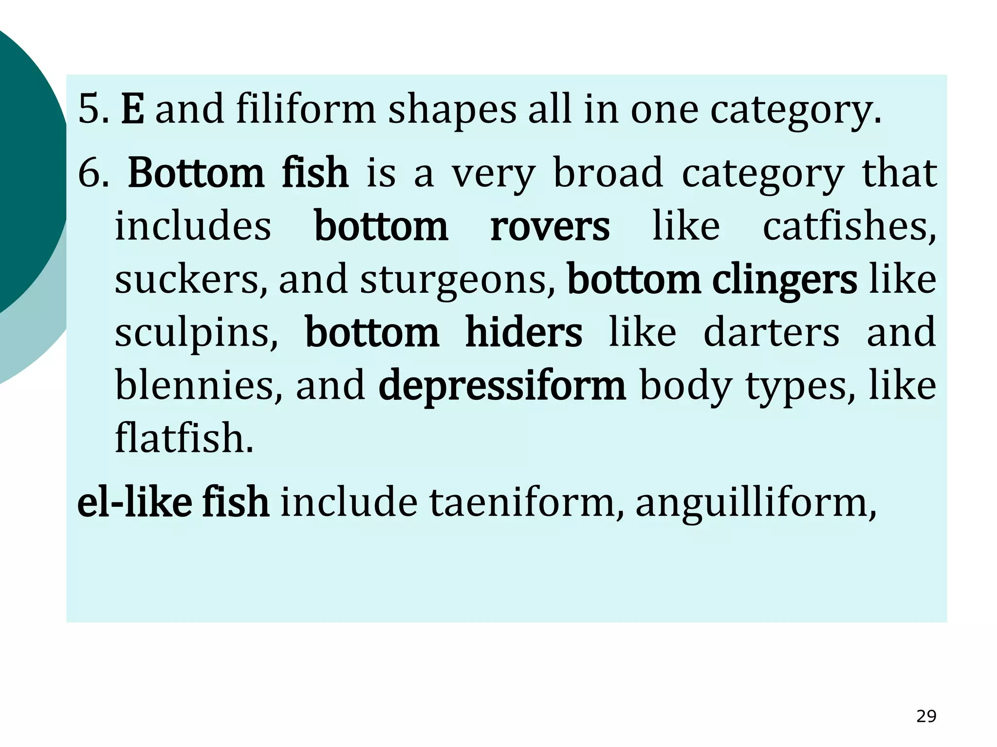 Fish morphology | PPTX