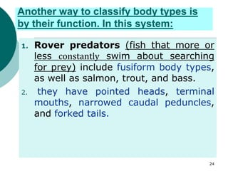 Fish morphology | PPTX