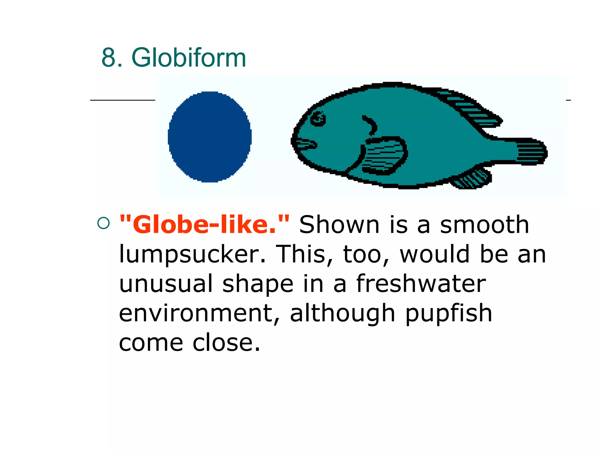 Fish Morphology | PPT