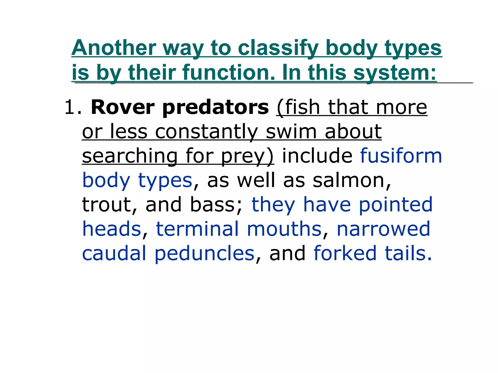 Fish Morphology | PPT