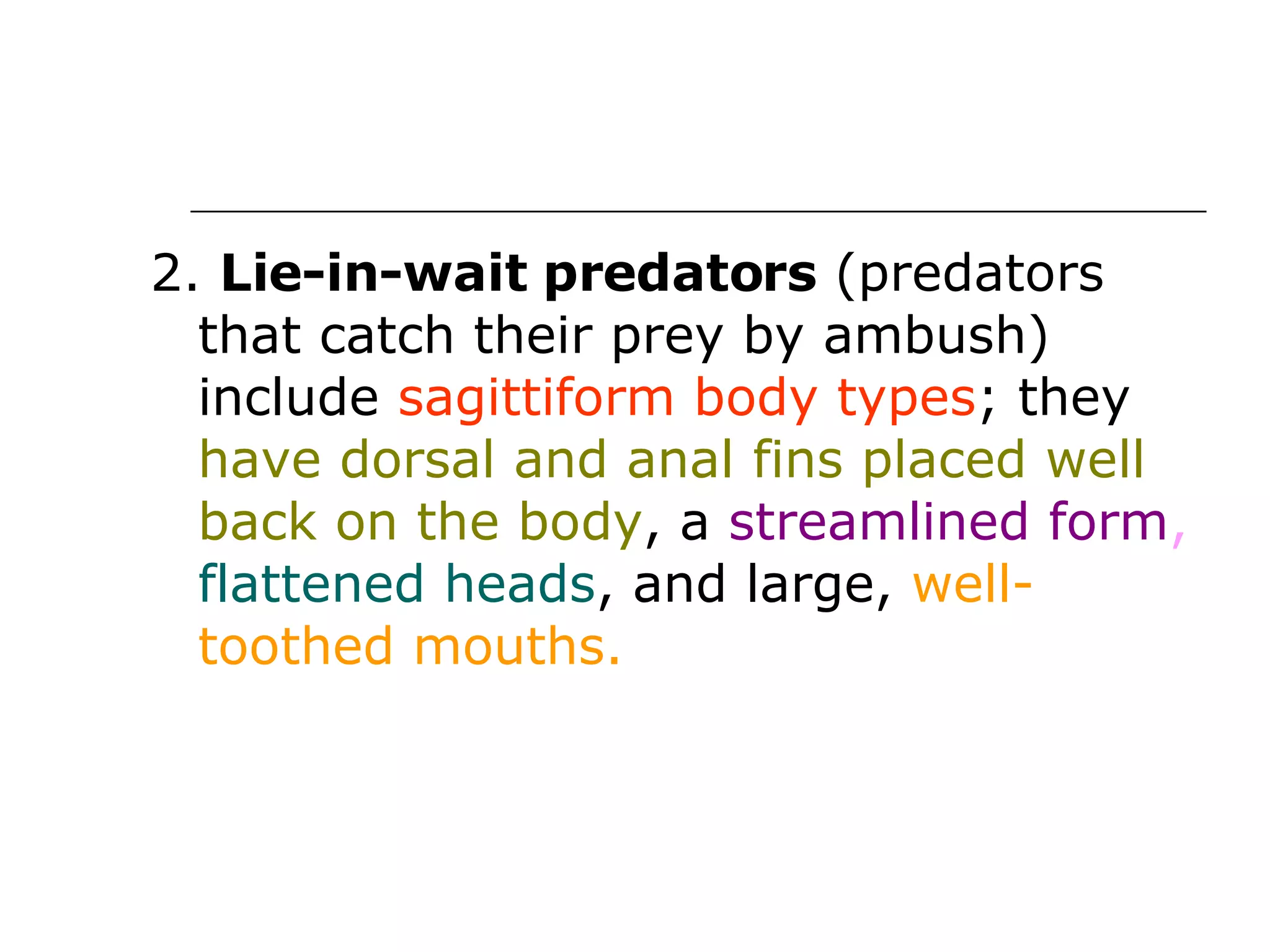 Fish Morphology | PPT