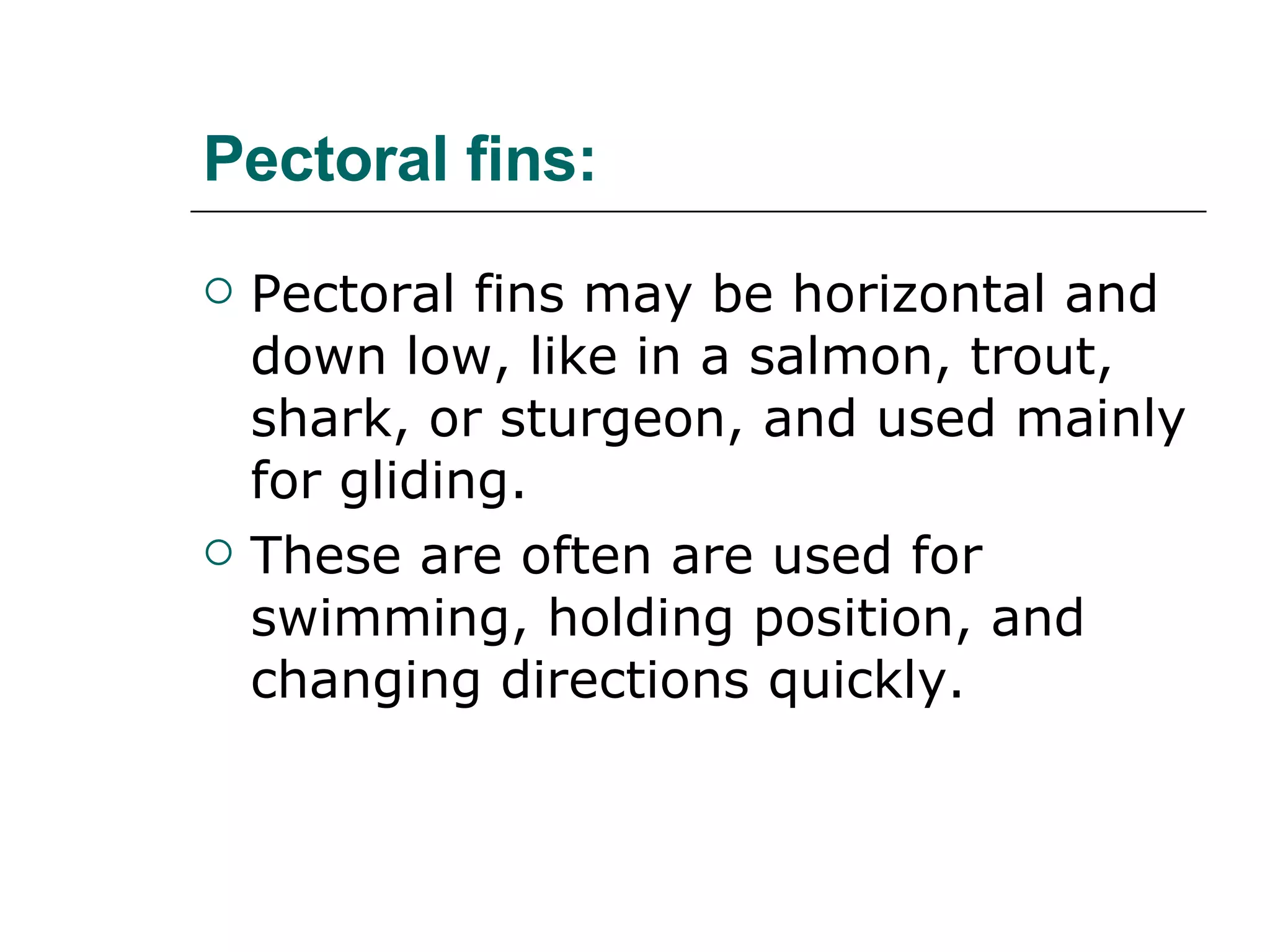 Fish Morphology | PPT