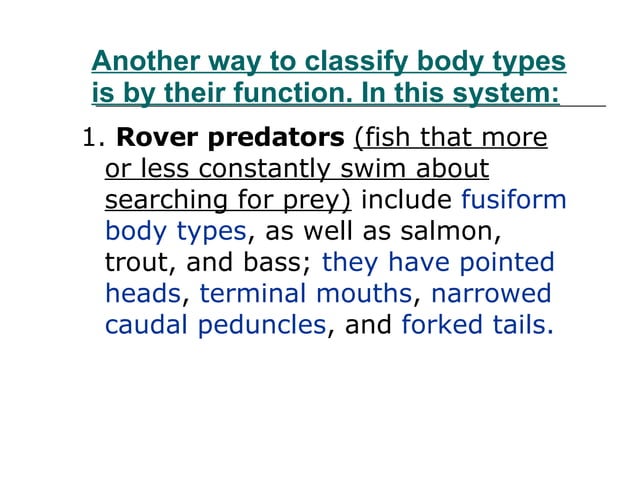 Fish Morphology | PPT