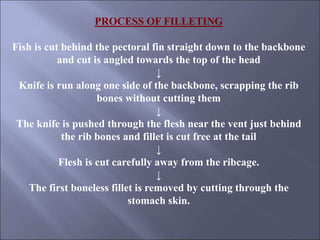 fish-processing-ppt.ppt