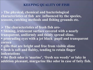 fish-processing-ppt.ppt