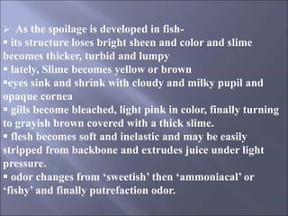 fish-processing-ppt.ppt