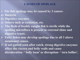 fish-processing-ppt.ppt