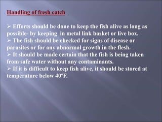fish-processing-ppt.ppt