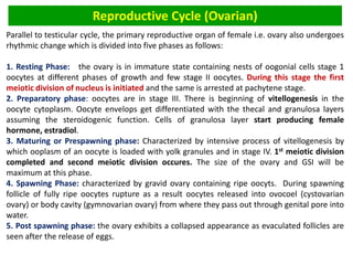 Fish-Reproduction-and-Development prewntation.pdf