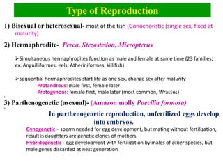 Fish-Reproduction-and-Development prewntation.pdf