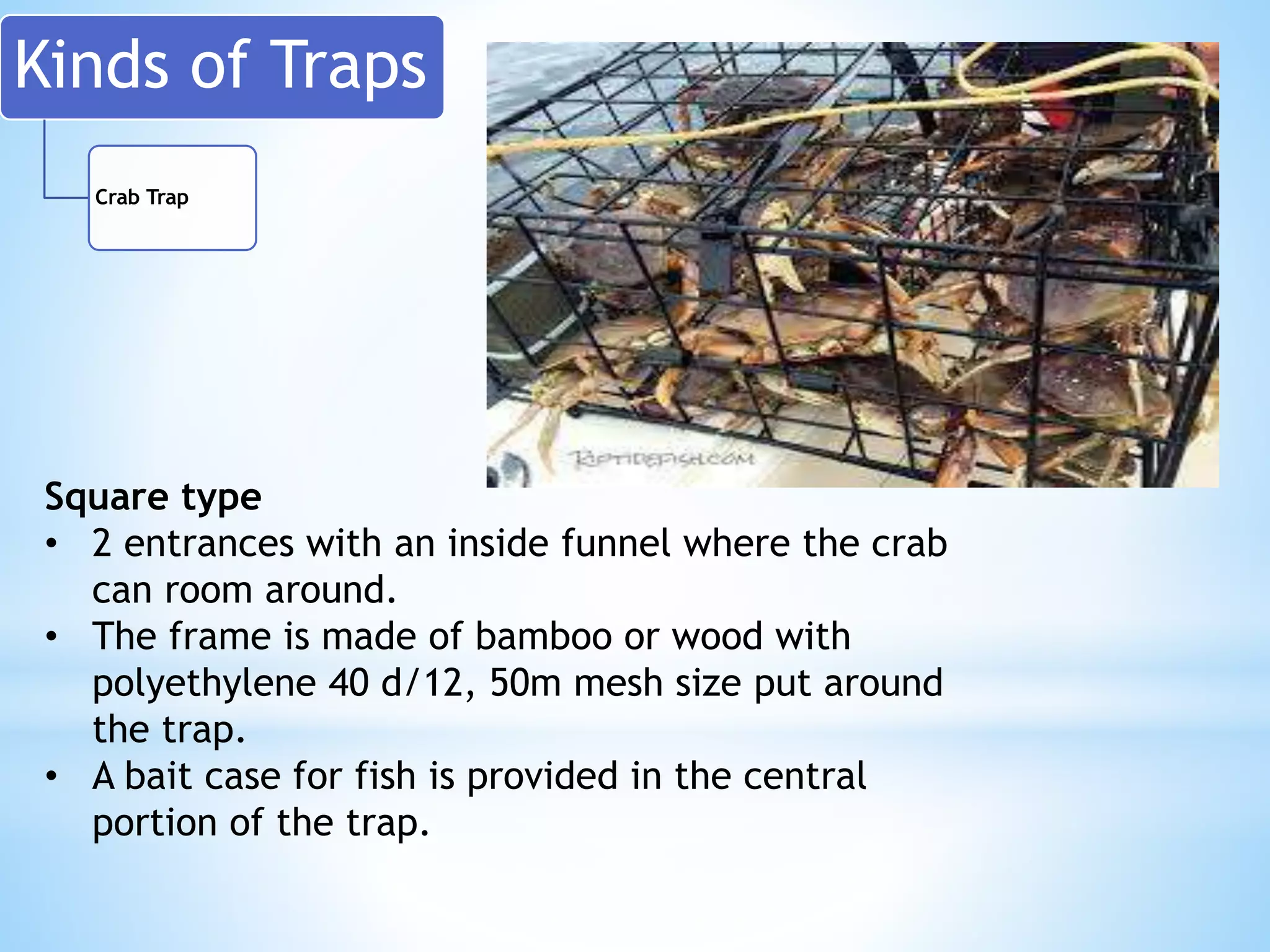 Fish-Traps-and-Pots.pptx