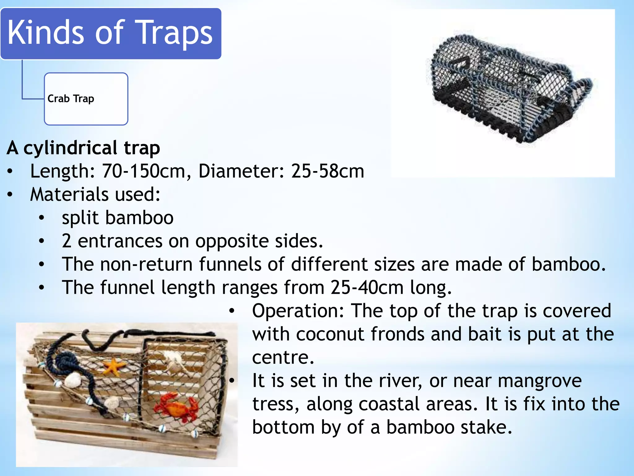 Fish-Traps-and-Pots.pptx