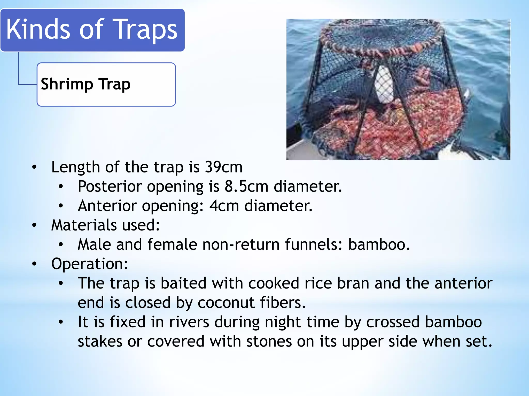 Fish-Traps-and-Pots.pptx