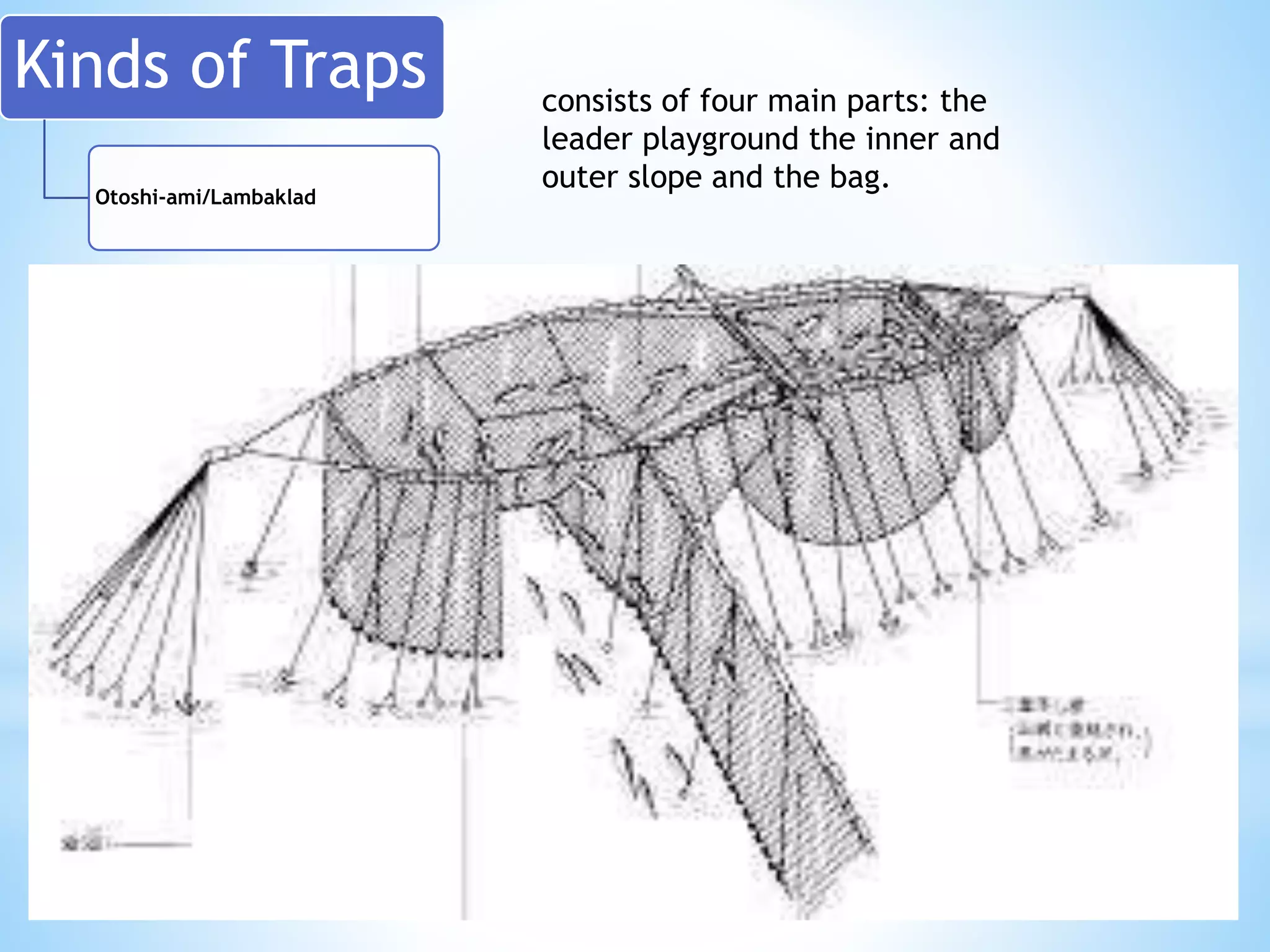 Fish-Traps-and-Pots.pptx