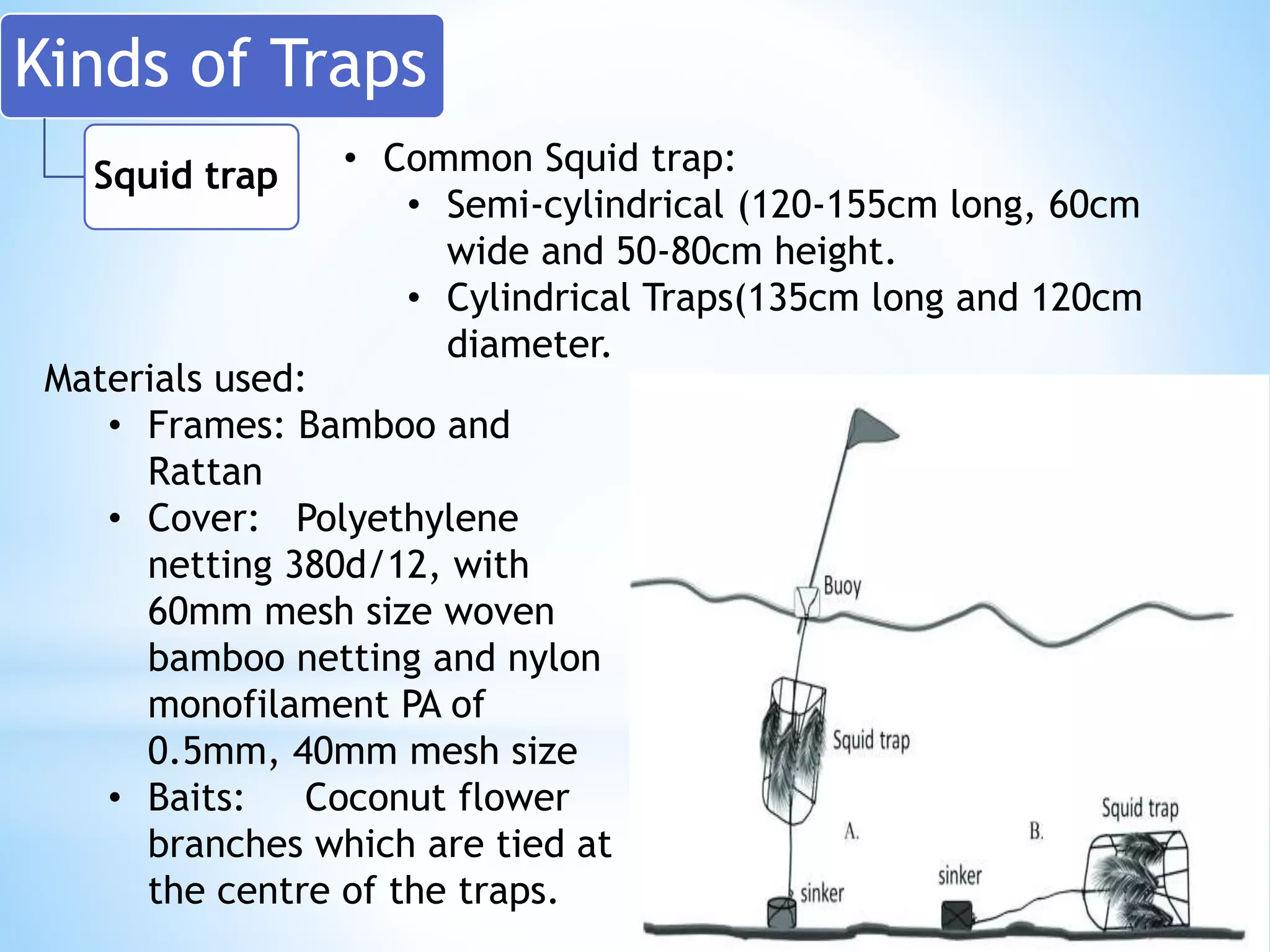 Fish-Traps-and-Pots.pptx