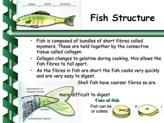 Fish 1 | PPT