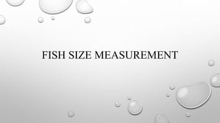 fish measurement in aquatic environment and its importance | PPTX ...