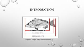 fish measurement in aquatic environment and its importance | PPTX ...