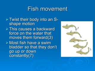 Fish 10 4 donev yaramov yanev | PPT