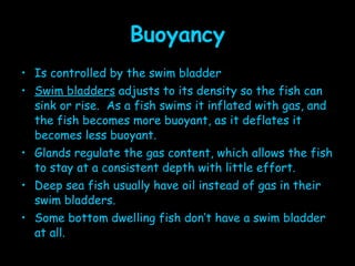 Fish 15 1 | PPT