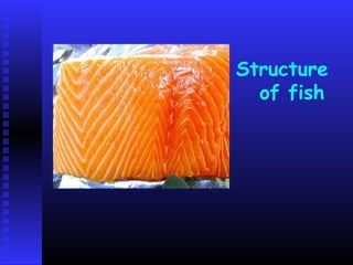 Fish2 | PPT