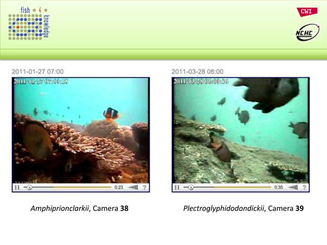 Fish4Knowledge: large scale coral reef fish monitoring using undersea ...