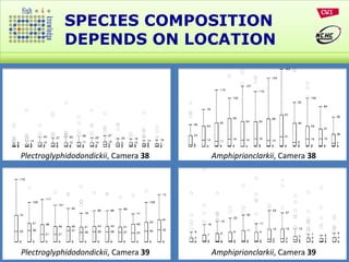 Fish4Knowledge: large scale coral reef fish monitoring using undersea ...