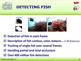 Fish4Knowledge: large scale coral reef fish monitoring using undersea ...