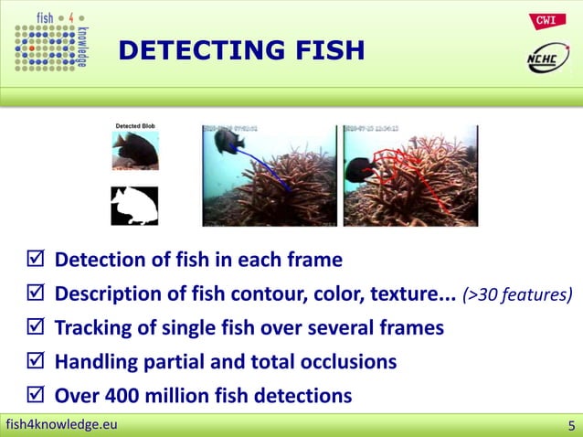 Fish4Knowledge: large scale coral reef fish monitoring using undersea ...