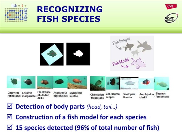 Fish4Knowledge: large scale coral reef fish monitoring using undersea ...