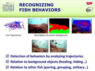 Fish4Knowledge: large scale coral reef fish monitoring using undersea ...