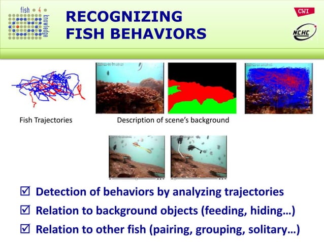Fish4Knowledge: large scale coral reef fish monitoring using undersea ...
