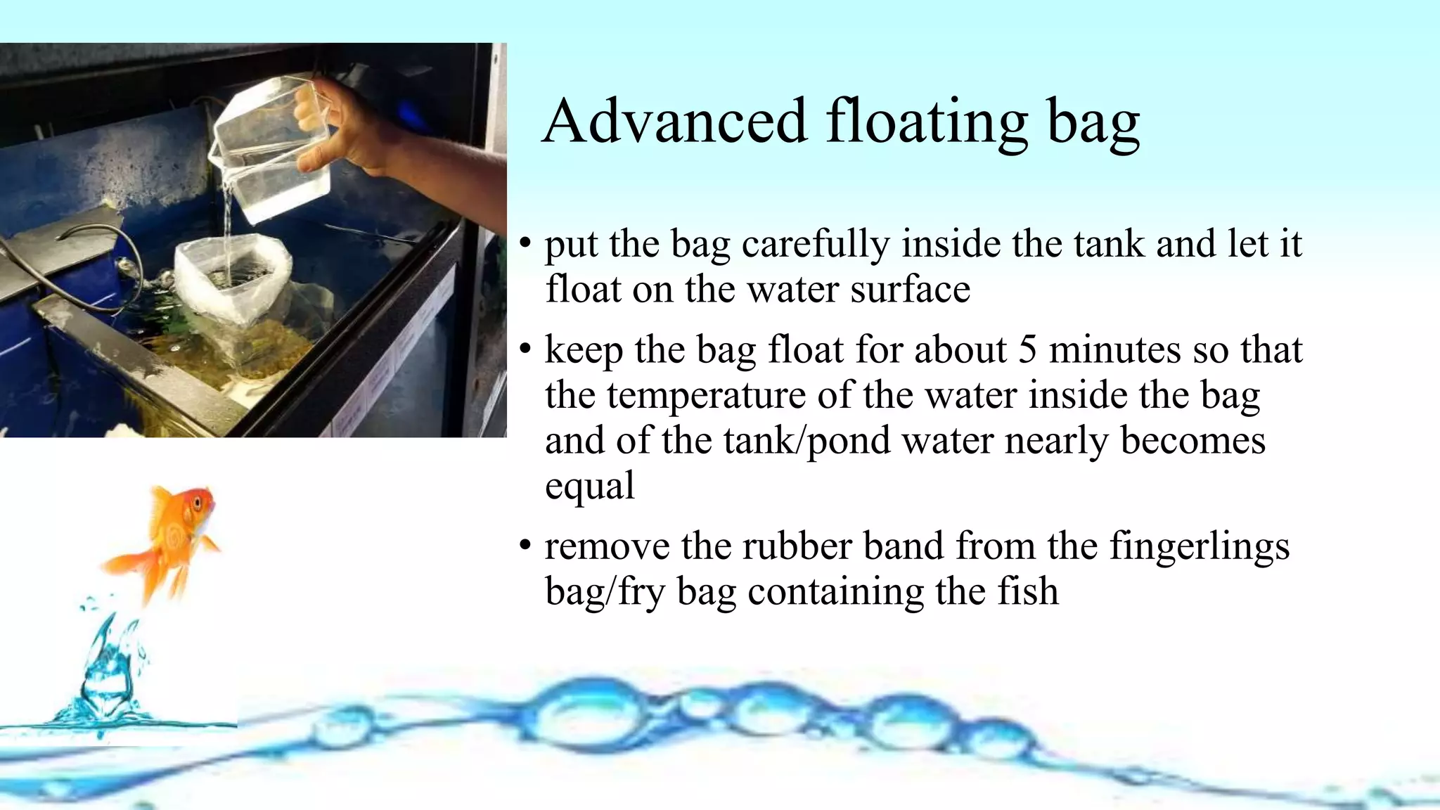 Fish Acclimatization and Adaptation.pptx