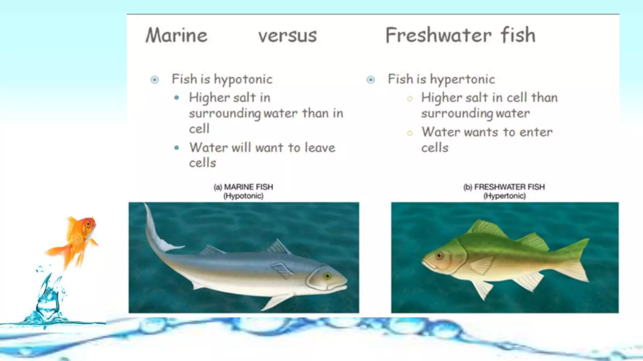 Fish Acclimatization and Adaptation.pptx