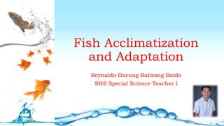 Fish Acclimatization and Adaptation.pptx