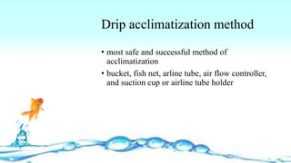 Fish Acclimatization and Adaptation.pptx