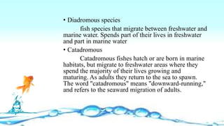 Fish Acclimatization and Adaptation.pptx