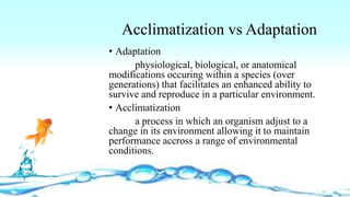 Fish Acclimatization and Adaptation.pptx