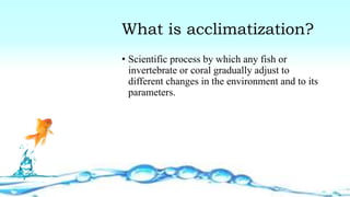 Fish Acclimatization and Adaptation.pptx