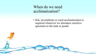Fish Acclimatization and Adaptation.pptx