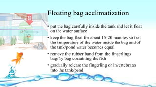 Fish Acclimatization and Adaptation.pptx